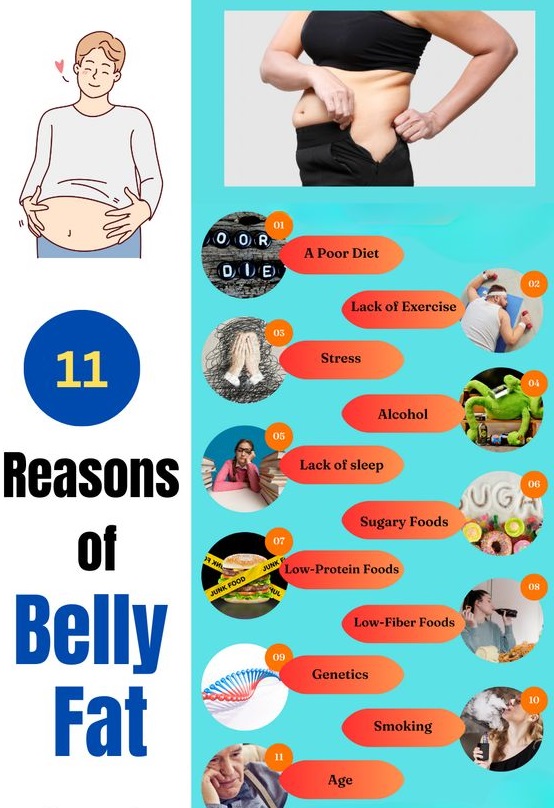 5 Types Of Belly Fat And How To Lose Them: What’s Yours ...