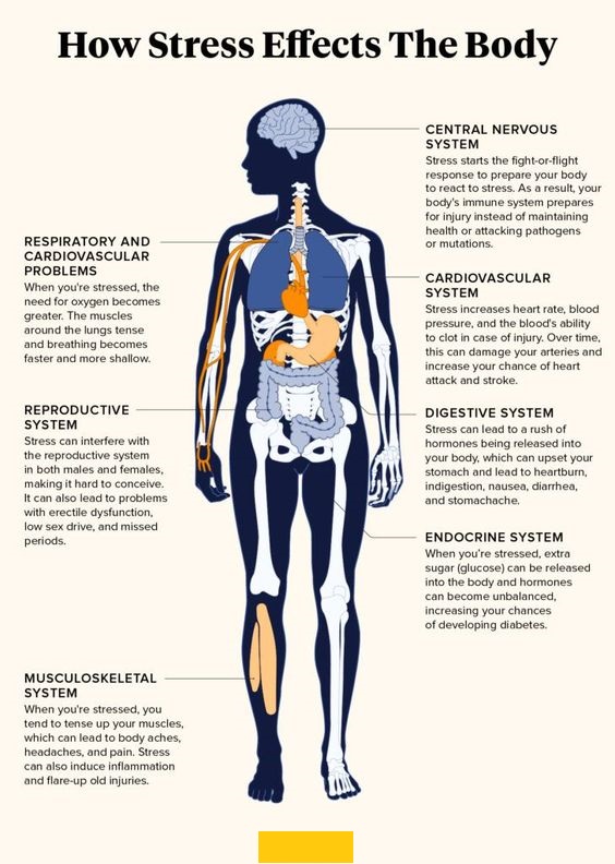 Watch Out For These Long-Term Effects Of Chronic Stress ...