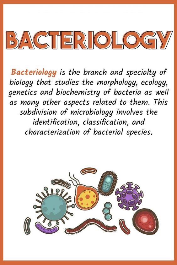 Tips For Tackling Bacteremia Or Bacteria In Your Blood ...