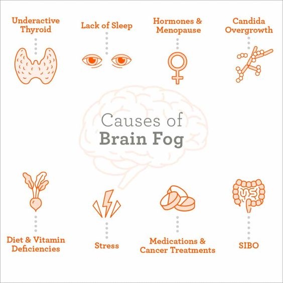 All-Natural Ways To Get Rid Of Brain Fog - soumyahospitals.com
