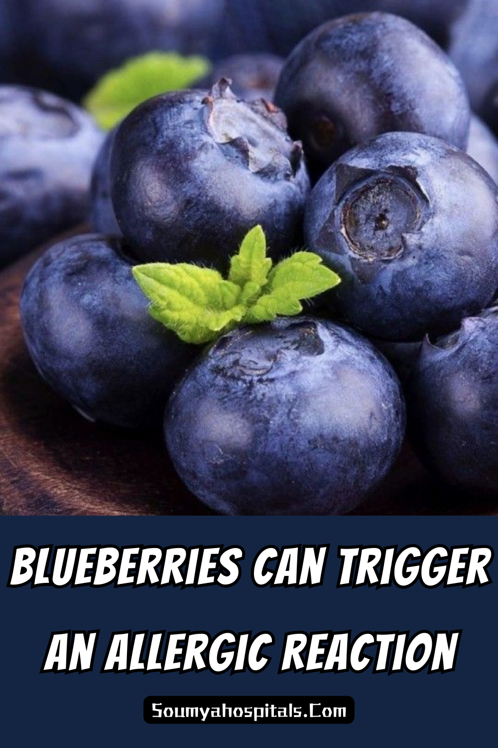 4 Side Effects Of Eating Too Many Blueberries - soumyahospitals.com