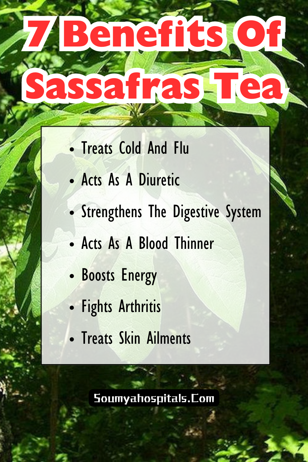 7 Benefits Of Sassafras Tea You Should Know - soumyahospitals.com
