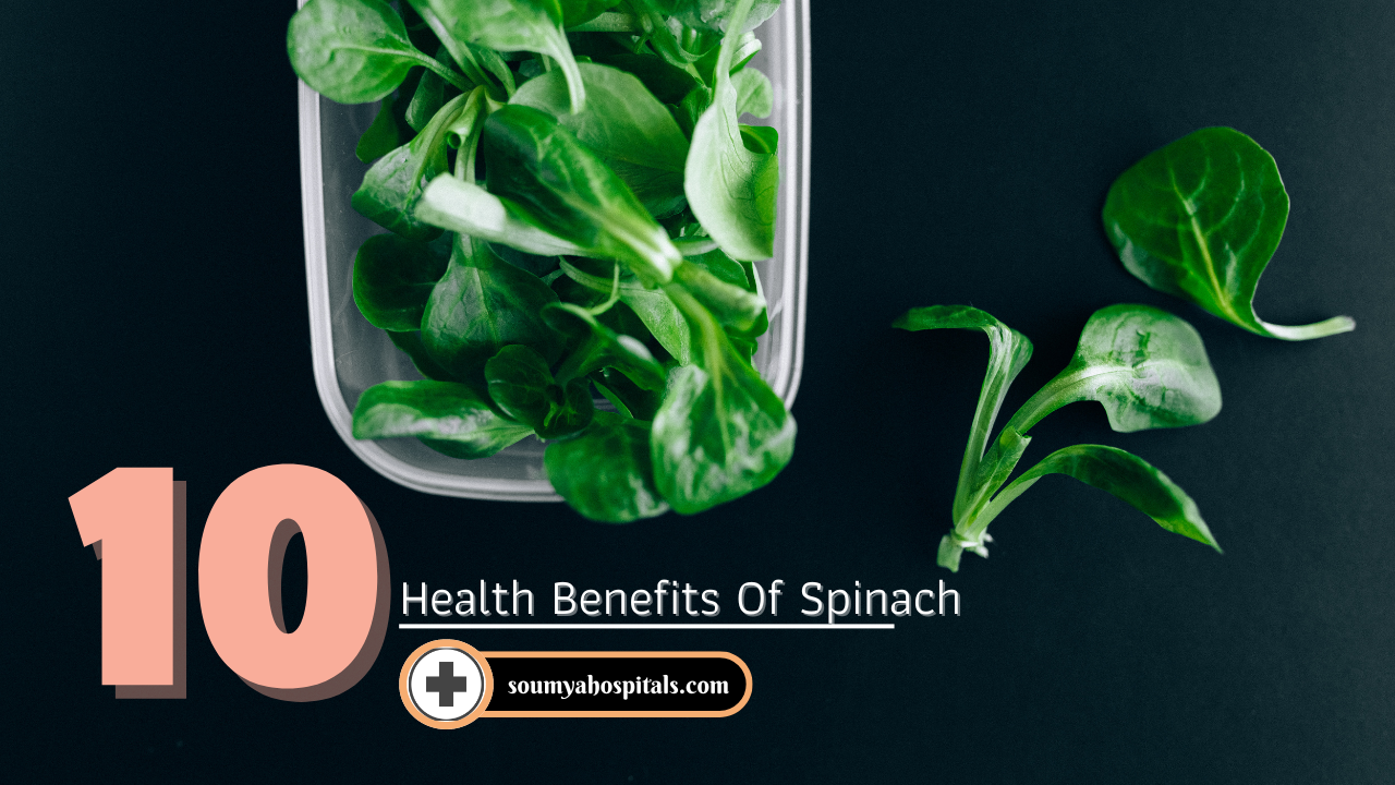 12 Impressive Health Benefits Of Black Cohosh - soumyahospitals.com