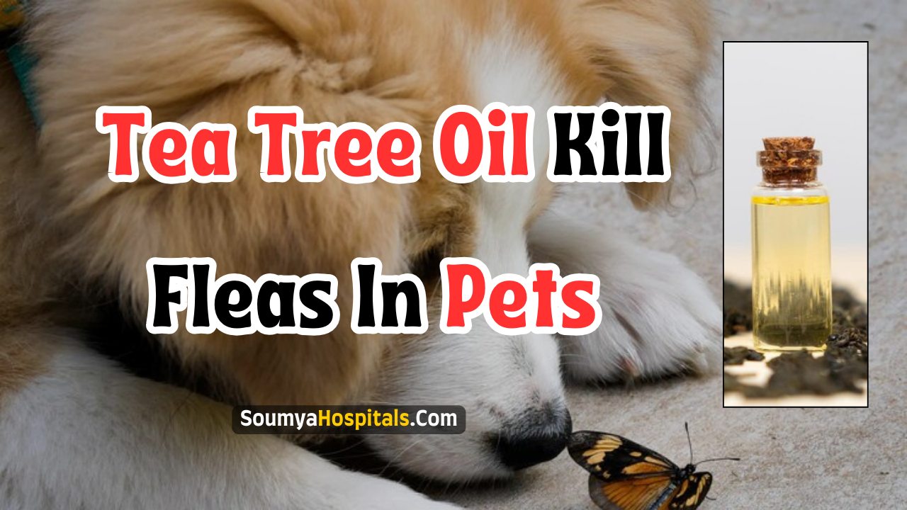 Oncology NCLEX Questions with Rationale - soumyahospitals.com