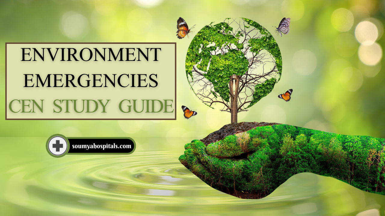 Ashwagandha For PCOS: 7 Ways This Ayurvedic Herb Helps ...